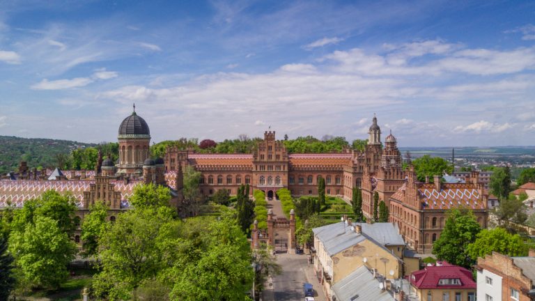 Harvard Breakthrough: Synaptic Connections Reveals Brain’s Complex ...